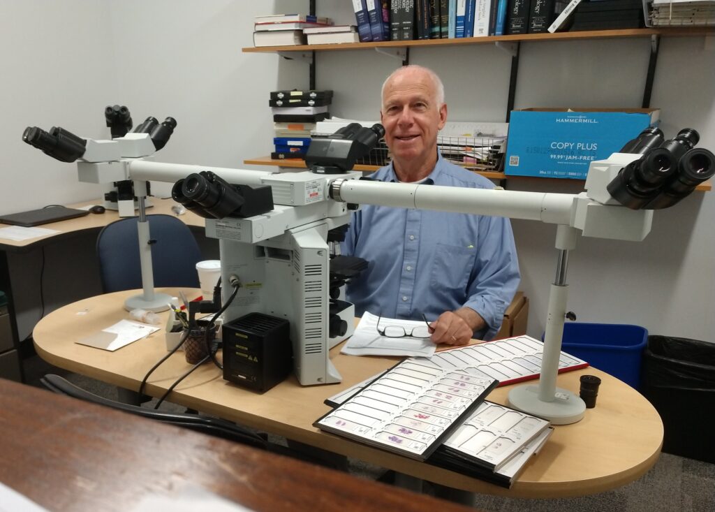 CelLock TM: An innovative standardized cell-block preparation procedure ...